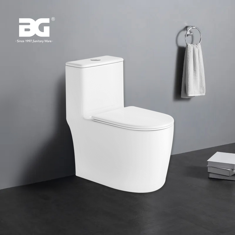 Really Waterless Ceramic Bathroom Siphon Vortex WC S-trap One Piece ...